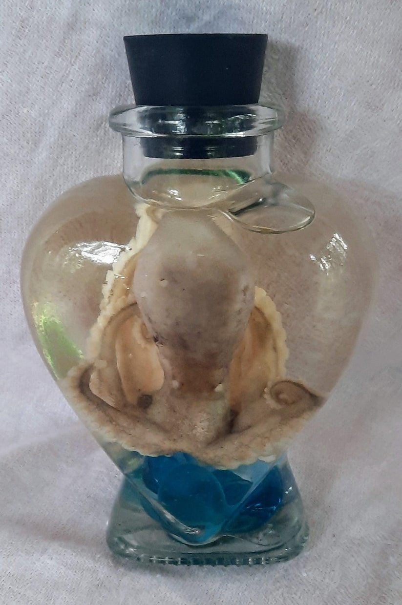 Octopus Wet Specimen glass heart jar Taxidermy Oddities curriosities f ...